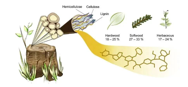 What is paper pulping? - Younge Group: Paper industry process ...