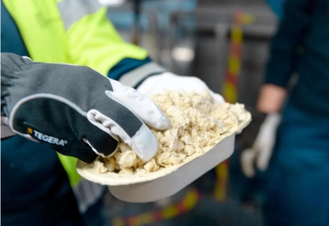 What is paper pulping? - Younge Group: Paper industry process ...