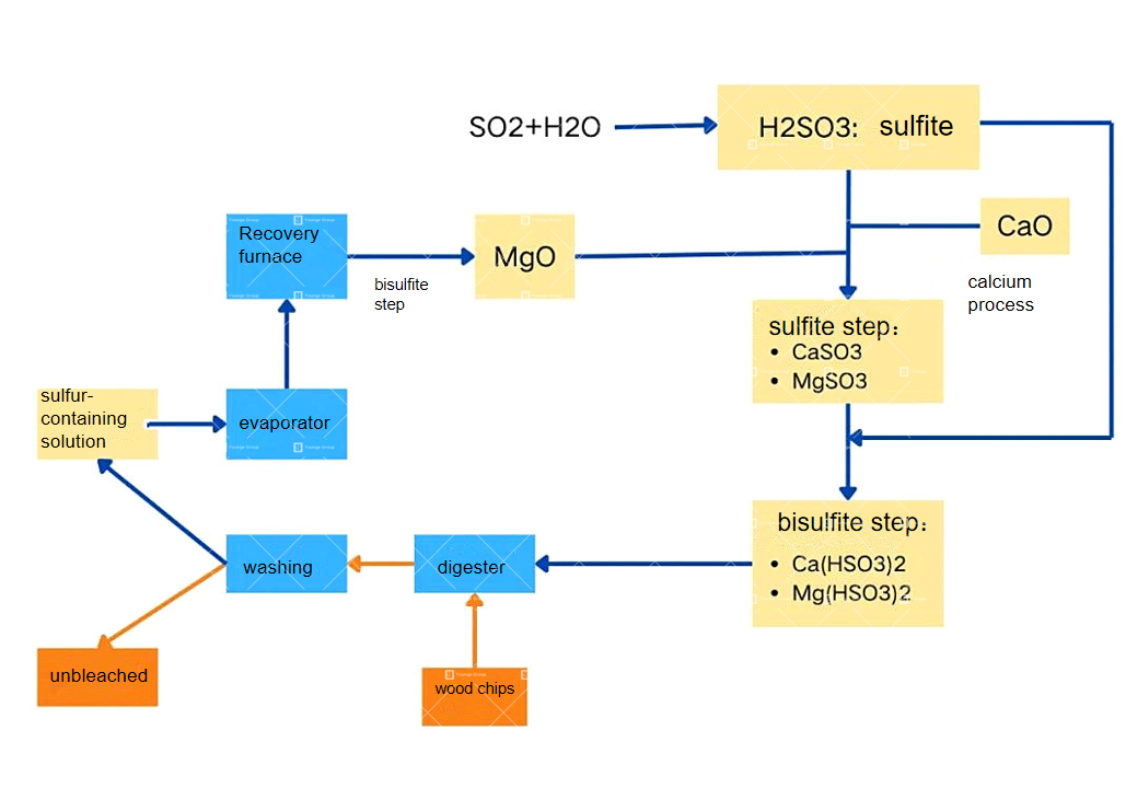 What is paper pulping? - Younge Group: Paper industry process ...