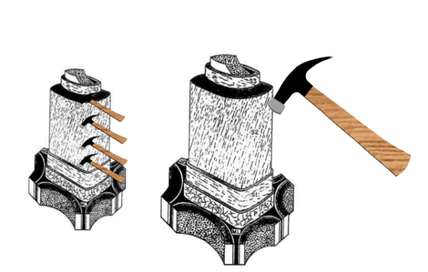 What is refining in paper pulp? - Younge Group: Paper industry process ...
