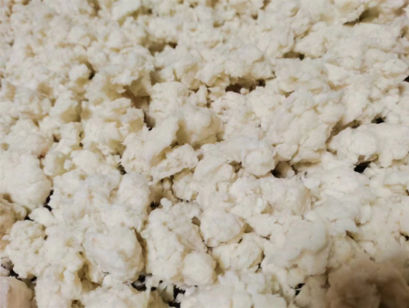 Core knowledge points of pulp bleaching - Younge Group: Paper industry ...