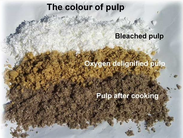 Core knowledge points of pulp bleaching - Younge Group: Paper industry ...